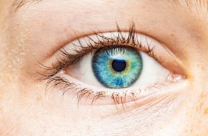The Science Behind Eye Color: What Determines It? - KW Medley